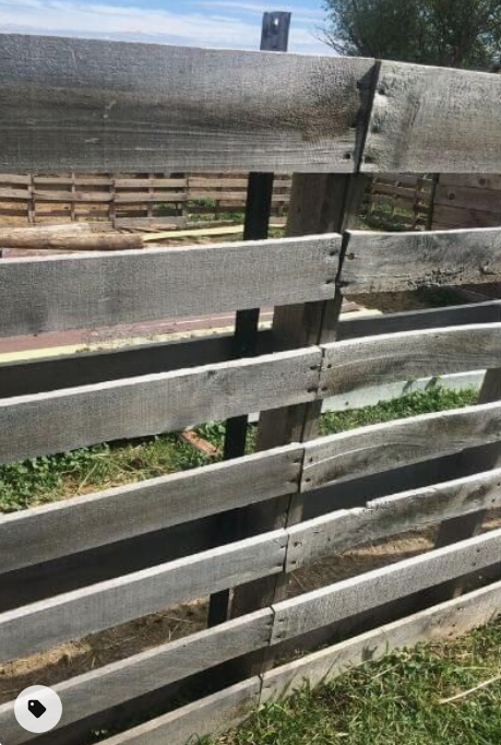 Pinterest-Inspired Unique Fences - Custom Fence Orlando